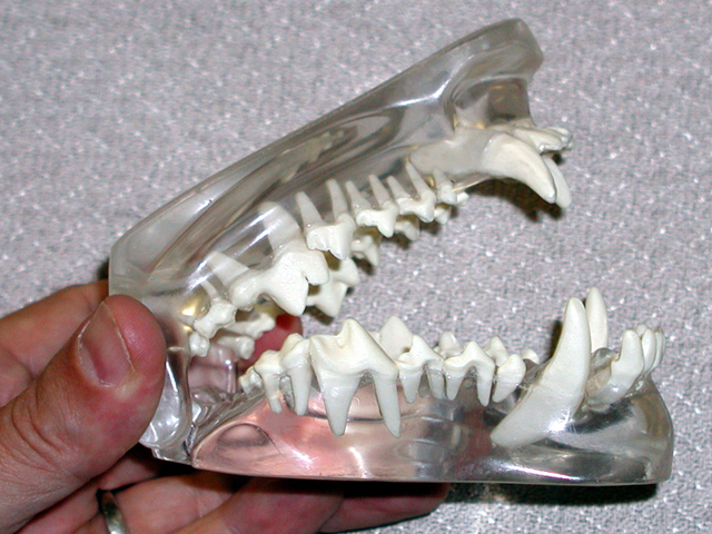 MOLDMAKING & CASTING - Urethane Rubber - Page 1 - The Engineer Guy